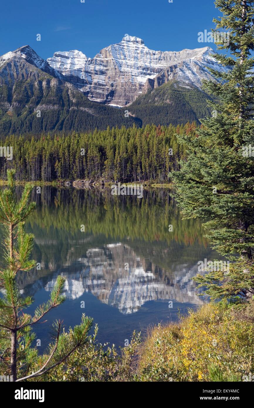 Banff National Park, Alberta, Canada; Reflection Of A Mountain In ...