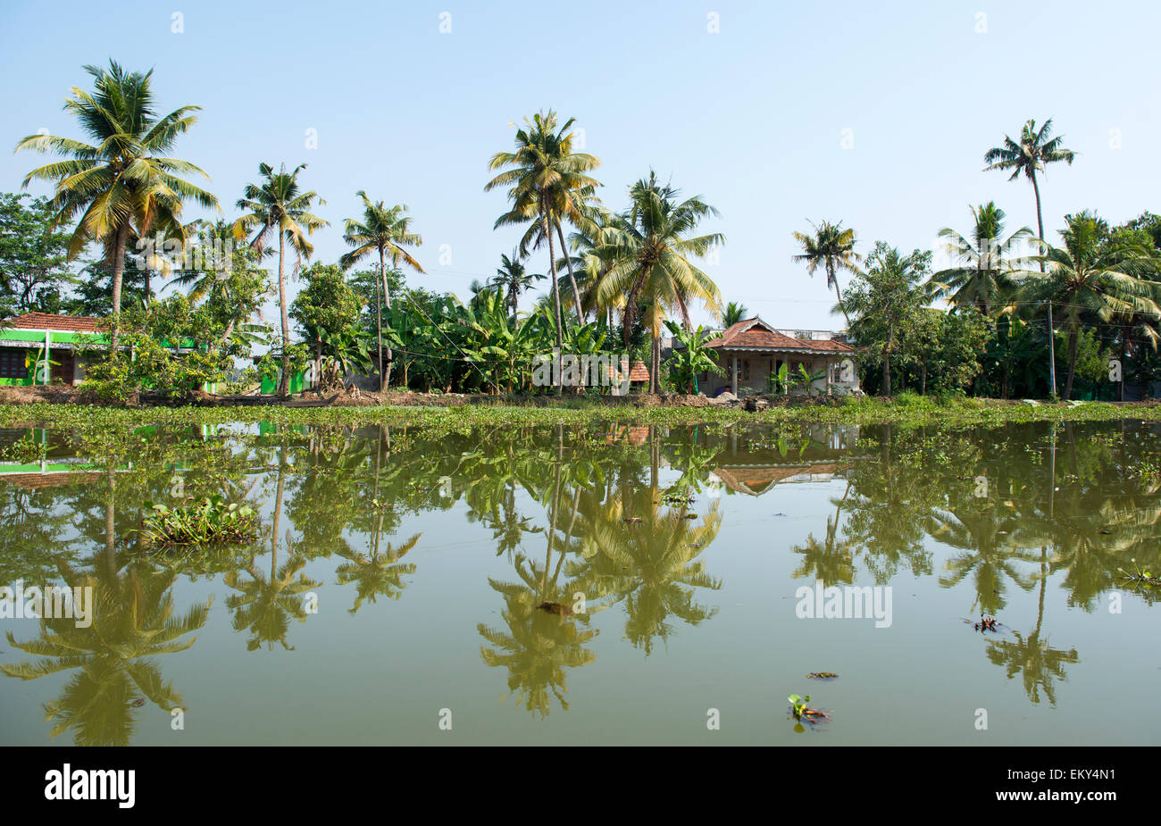 Reflections in the Backwaters at Kumarakom, Kerala India Stock Photo ...