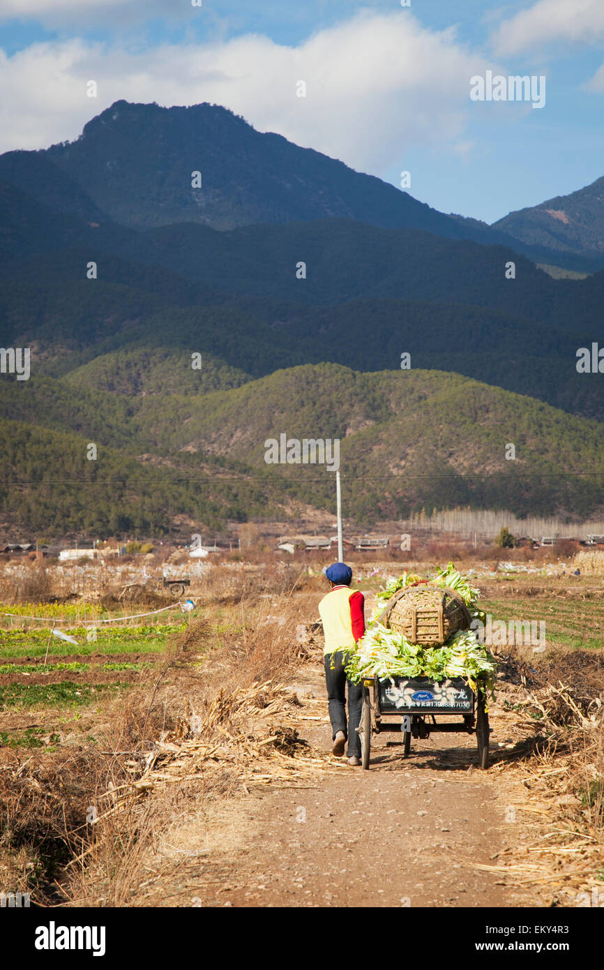 Chinese farmer moves cart of vegetables in rural Yunnan Province ...