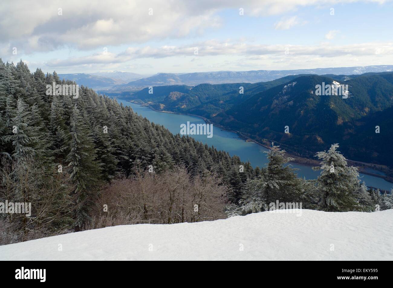 Columbia river gorge dog hi-res stock photography and images - Alamy