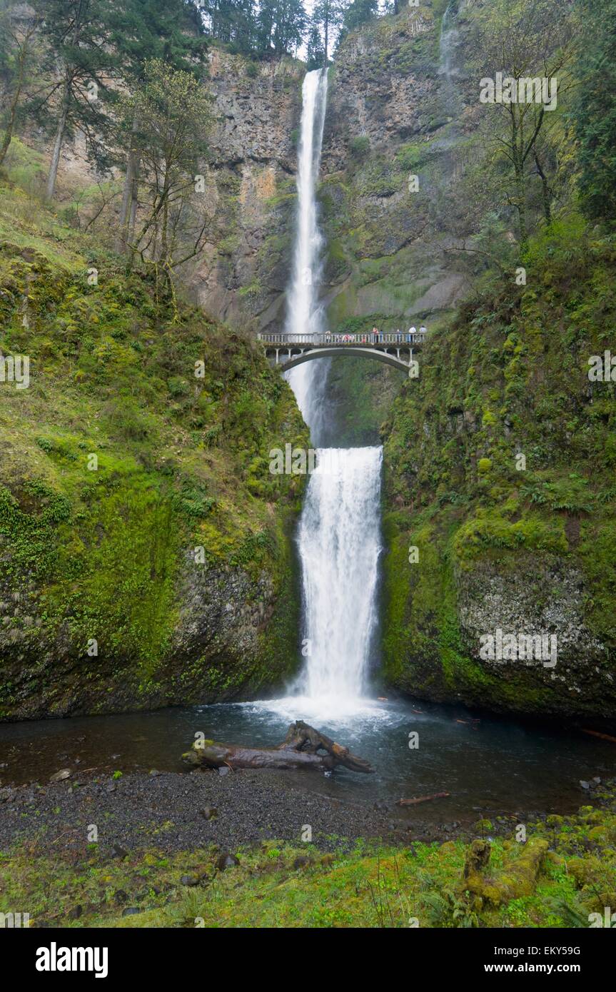 Multnomah Falls In Spring, Columbia River Gorge, Oregon, Usa Stock ...