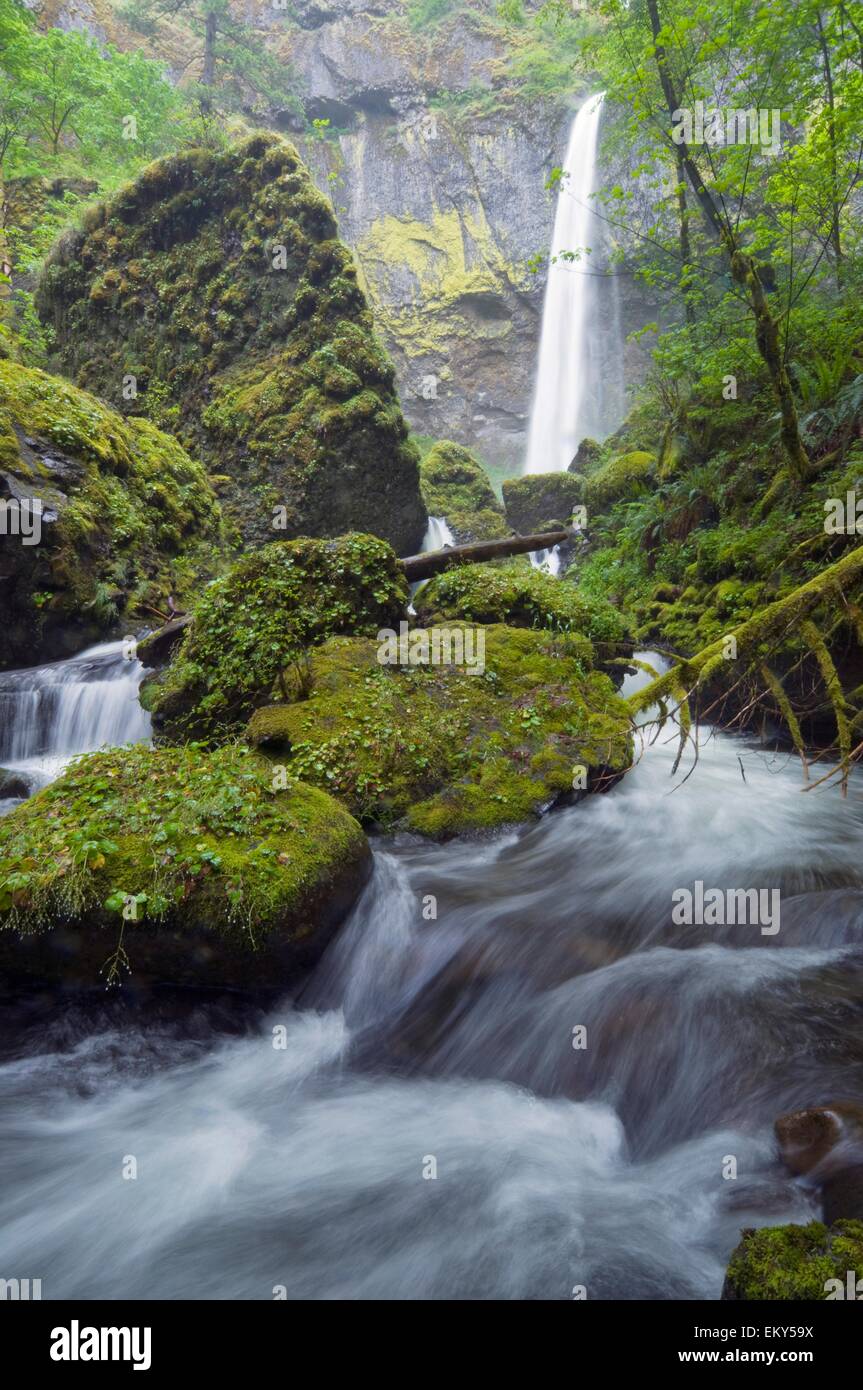 Elowah Falls, Columbia River Gorge, Oregon, Usa Stock Photo - Alamy