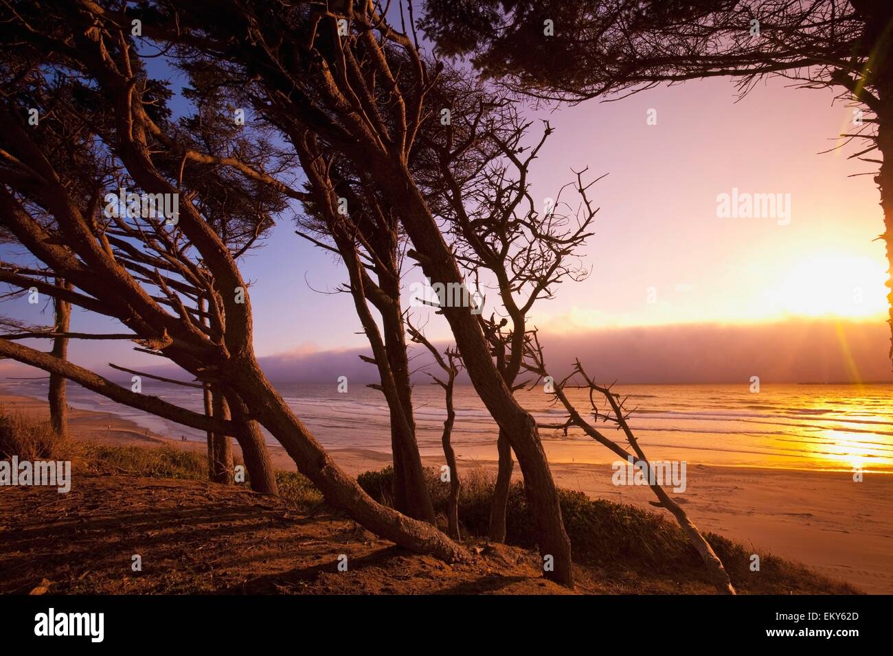 Moolack Beach, Oregon, United States Of Amercia; Sunset On A Beach ...
