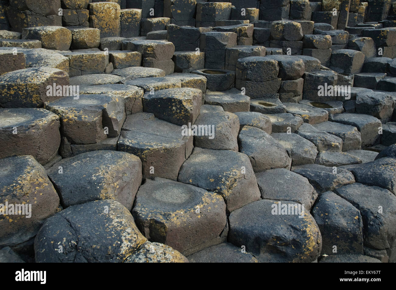 Black Basalt Columns Sticking Out Of The Sea, Giant's Causeway ...