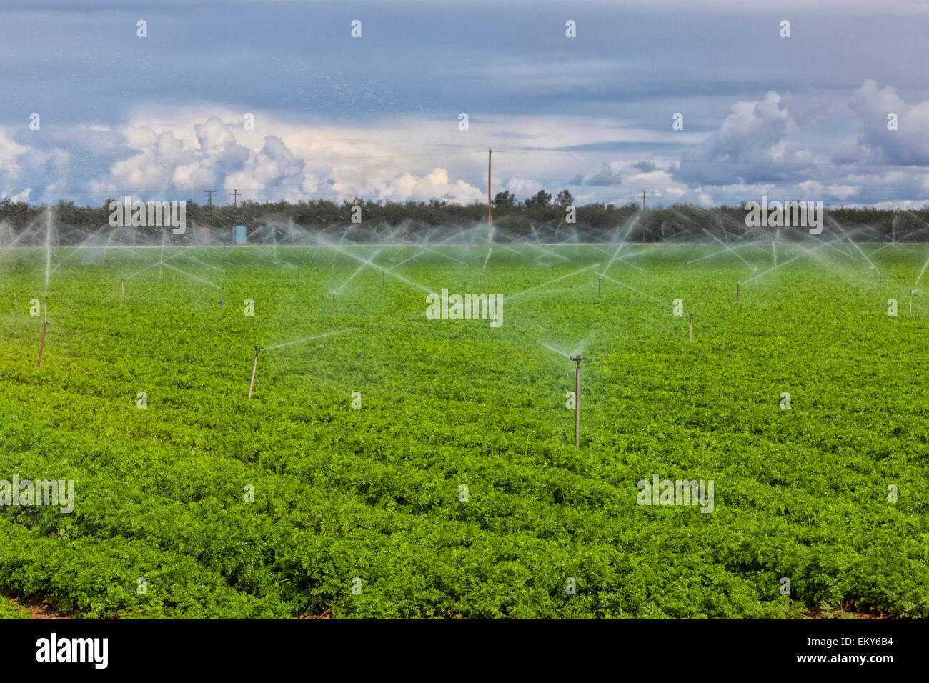 Groundwater irrigation california hi-res stock photography and images ...
