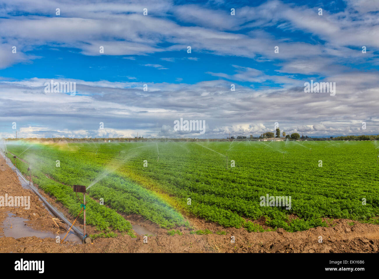Groundwater irrigation hi-res stock photography and images - Alamy