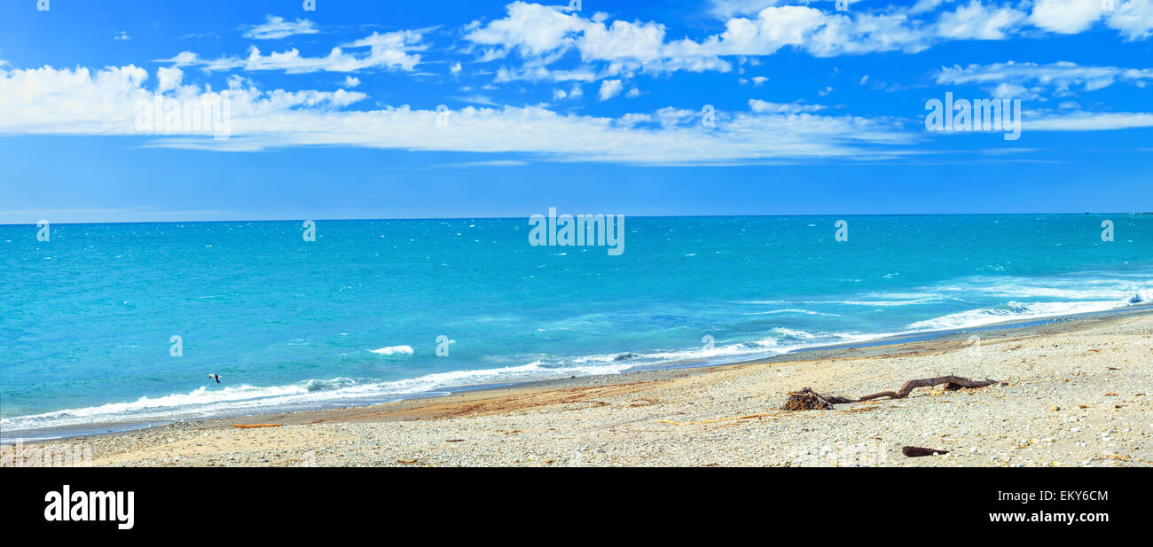 Tasman sea coastline hi-res stock photography and images - Alamy