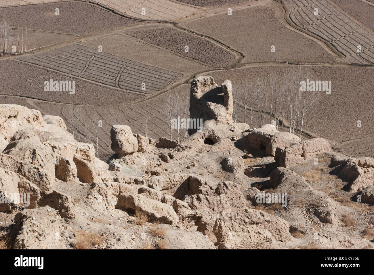 Afghan heritage hi-res stock photography and images - Alamy