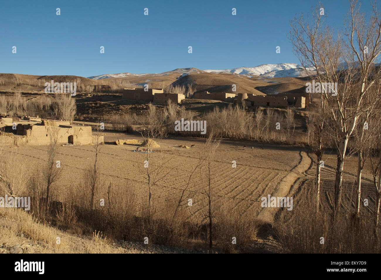 Shibar hi-res stock photography and images - Alamy