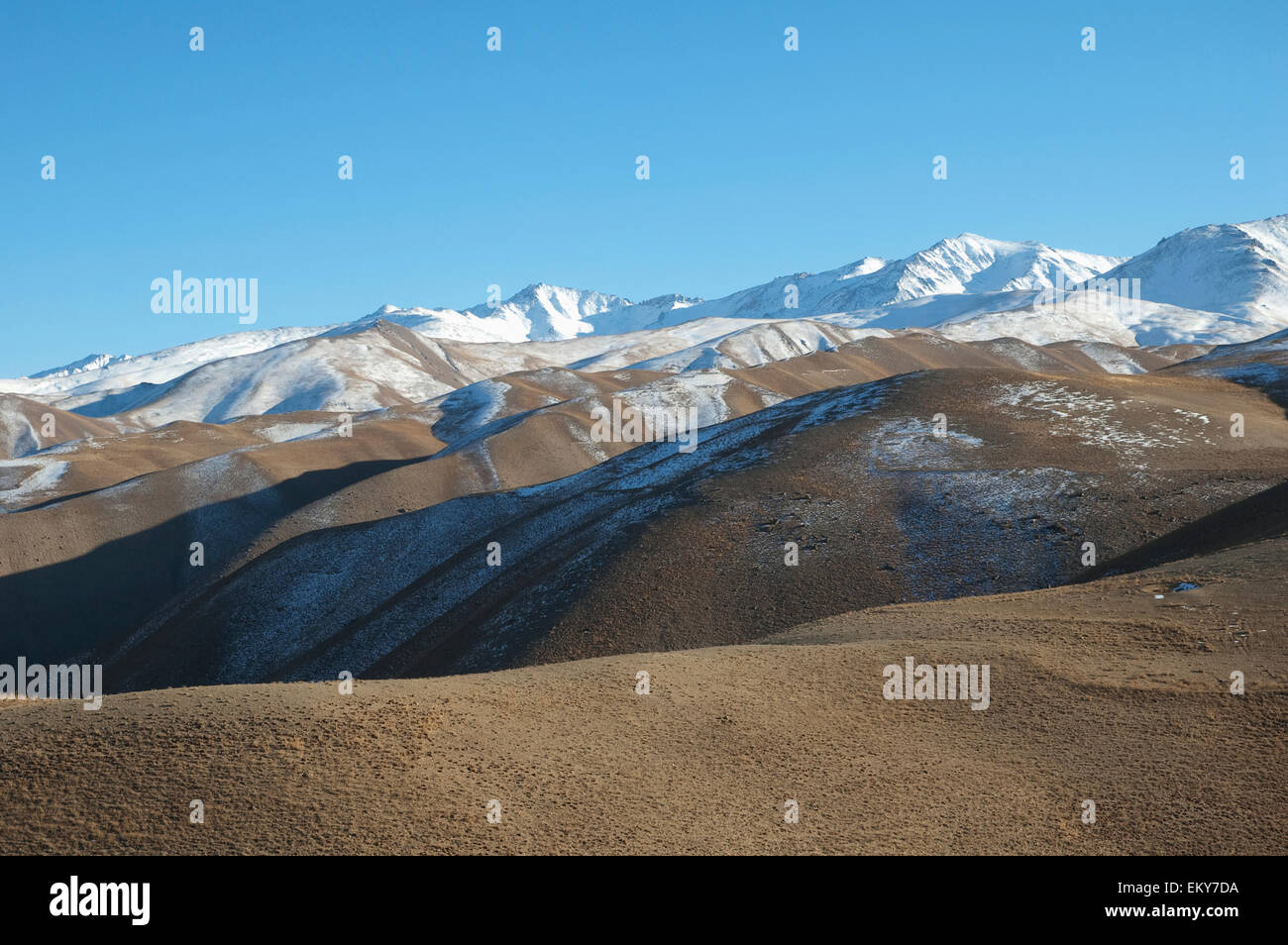 Shibar hi-res stock photography and images - Alamy