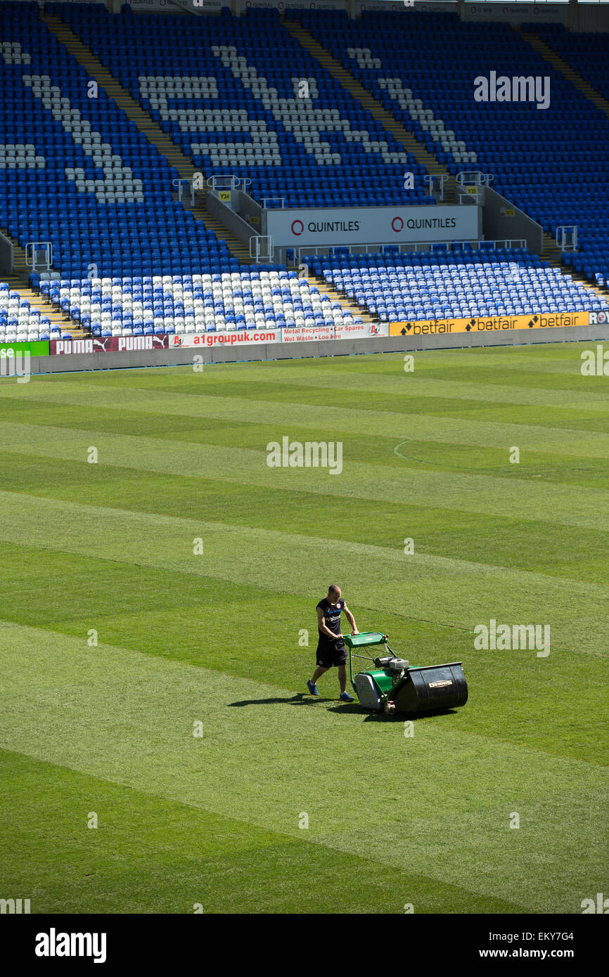Groundsman cutting the grass in football stadium with traditional mower ...