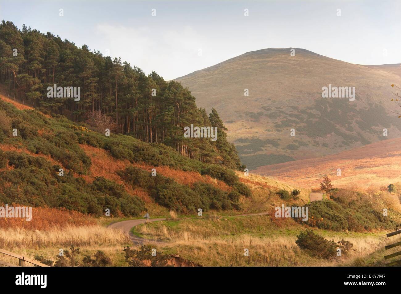 Elsdon Burn, Northumberland, England; A Landscape Of Hills And Forest ...