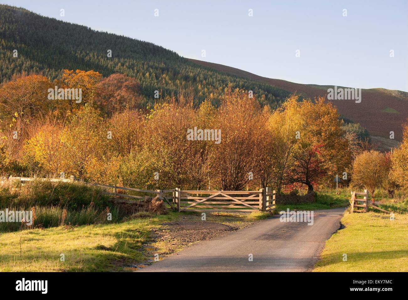 Elsdon northumberland hi-res stock photography and images - Alamy