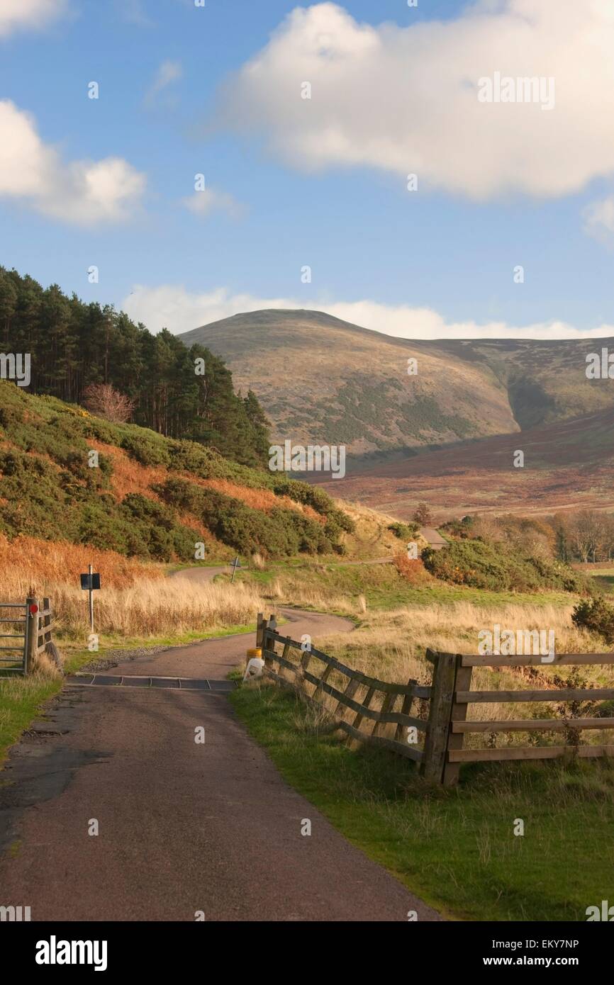 Elsdon hi-res stock photography and images - Alamy