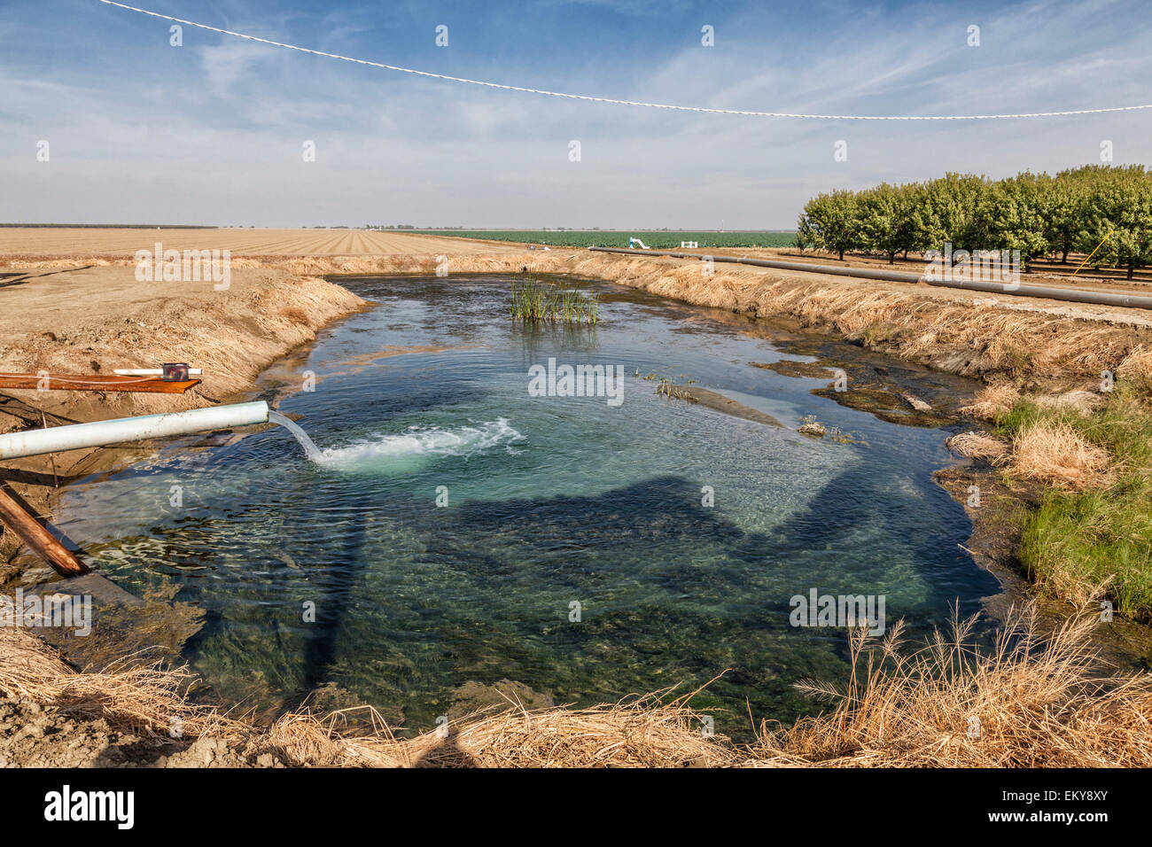 Groundwater well pumping into holding pond on Cardello Winery, a family ...