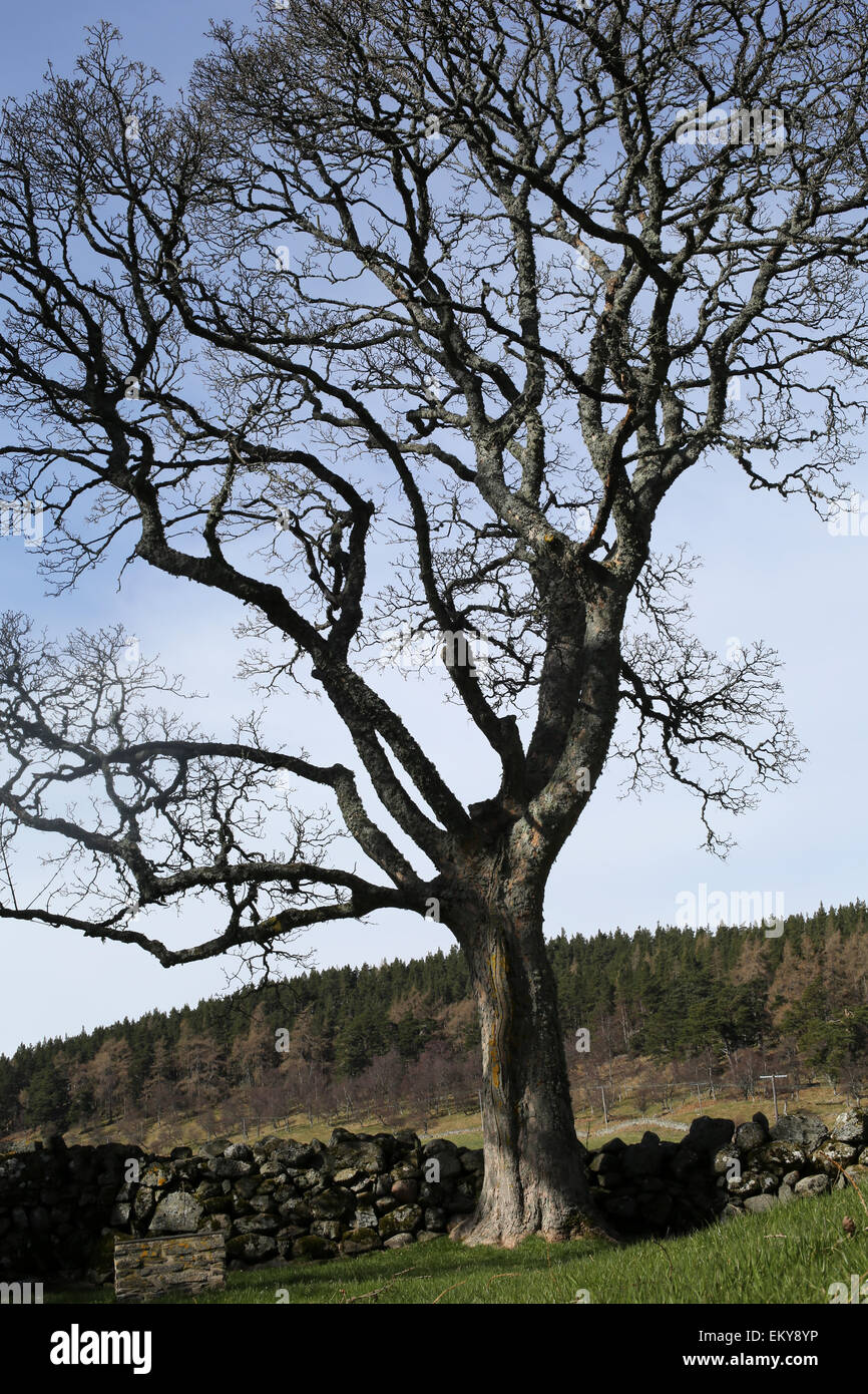 Knock castle scotland hi-res stock photography and images - Alamy
