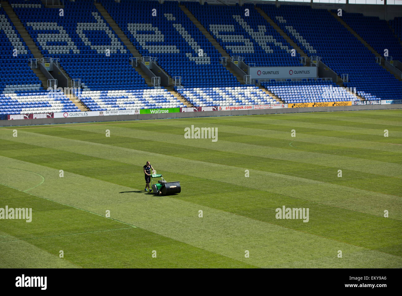 Groundsman cutting the grass in football stadium with traditional mower ...