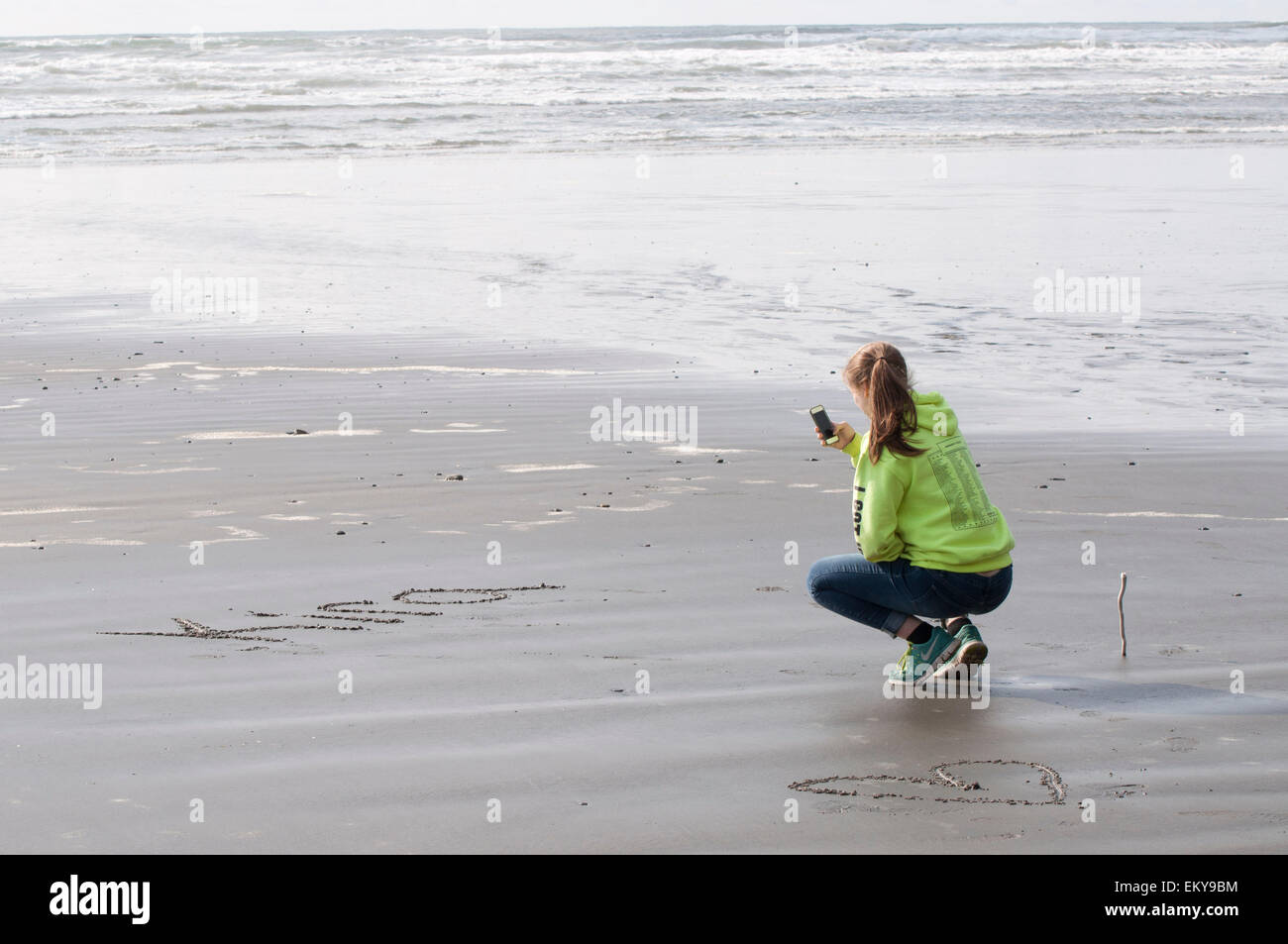 A seagull attempts to catch a cracker in mid flight, photographed at ...