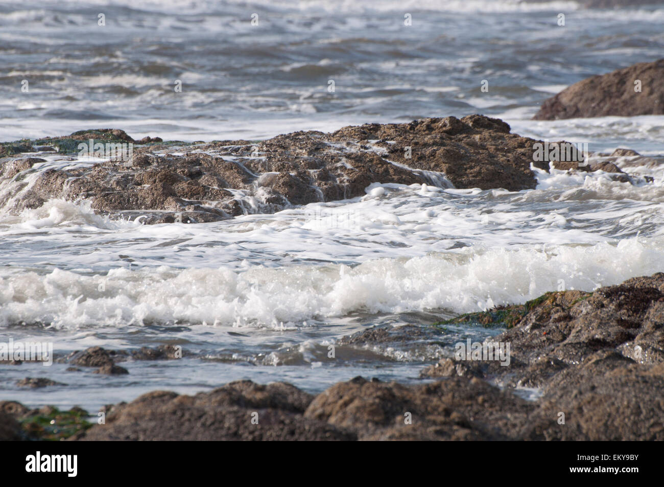 Pacific Ocean with volcanic rock in surf at Ruby Beach, WA, USA Stock ...