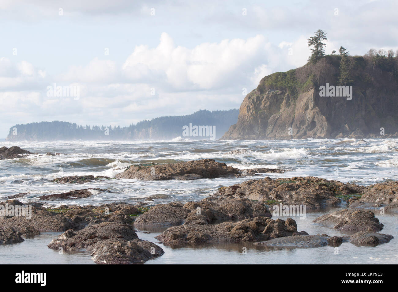 Volcanic rock in the foreground and Abbey Island and Hoh Head in the ...
