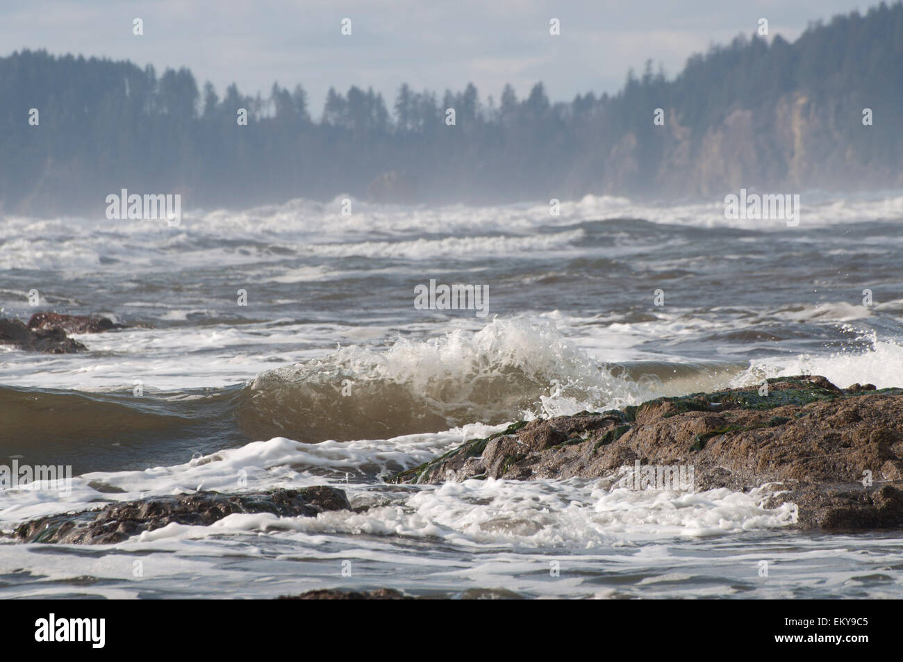 The Pacific Ocean at Ruby Beach, WA, USA Stock Photo - Alamy
