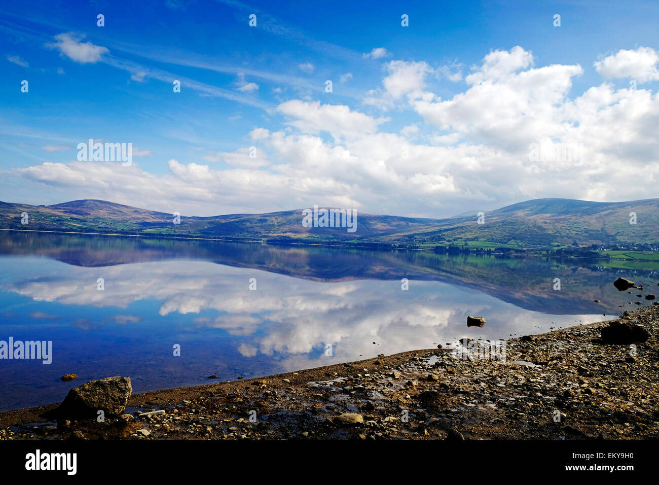 Blessington lakes Co. Wicklow Ireland Stock Photo - Alamy