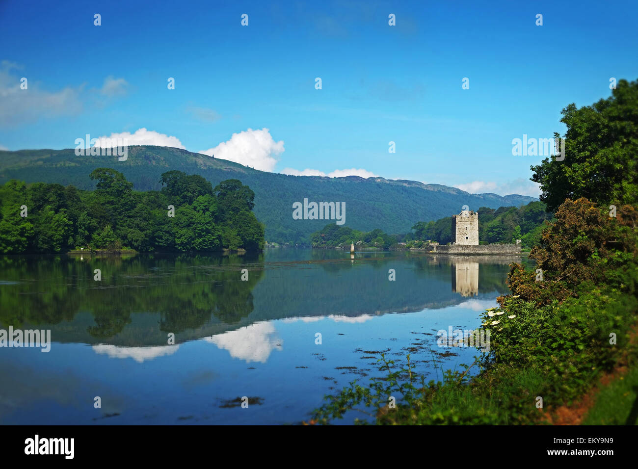 Omeath carlingford lough ireland hi-res stock photography and images ...