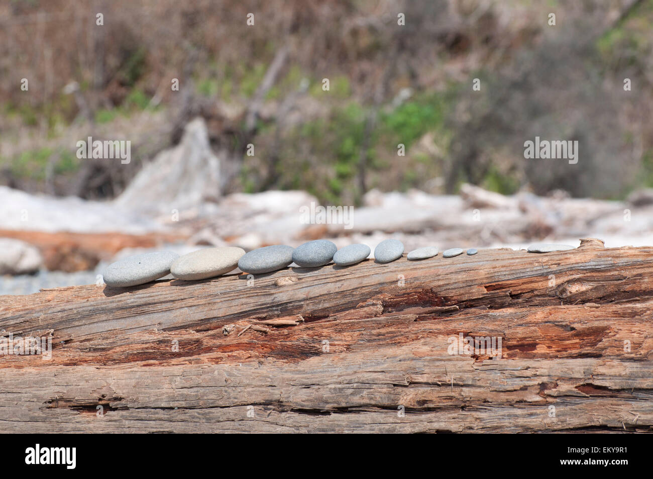 Largest to smallest rocks ruby beach hi-res stock photography and ...