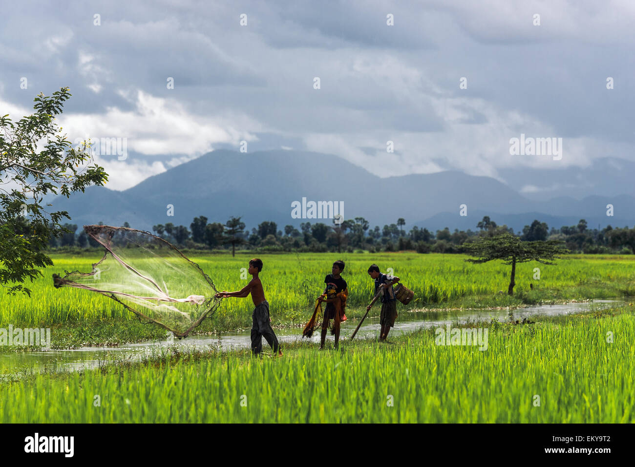 Cambodia, Son Thouch, Boys throwing fishing net into river Stock Photo ...