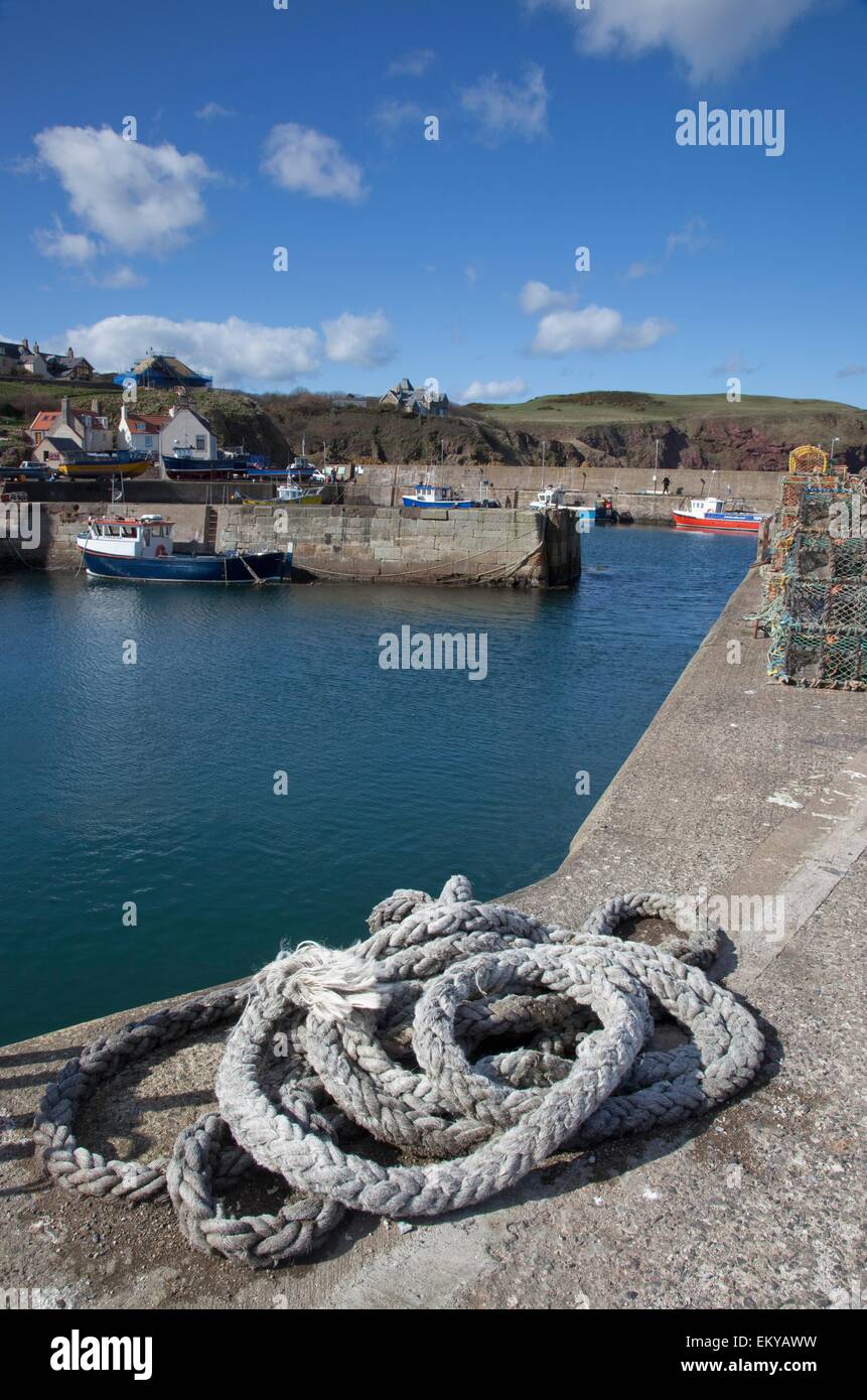 St. Abbs Head, Berwickshire, Scottish Borders, Scotland; A Rope Laying ...