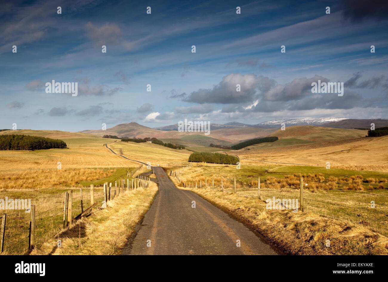 Scottish Borders, Scotland; A Road With Fields On Both Sides Stock ...