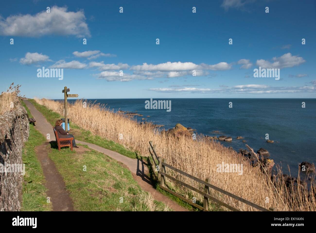 Coldingham, Scottish Borders, Scotland; A Woman Sitting On A Bench And ...