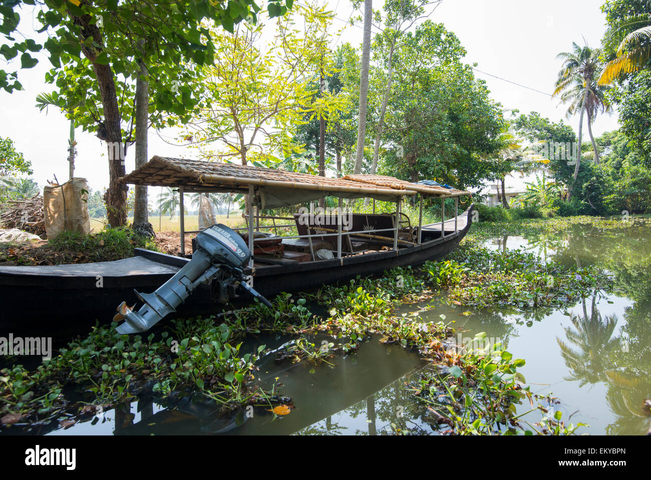 A boat in the the Backwaters at Kumarakom, Kerala India Stock Photo - Alamy