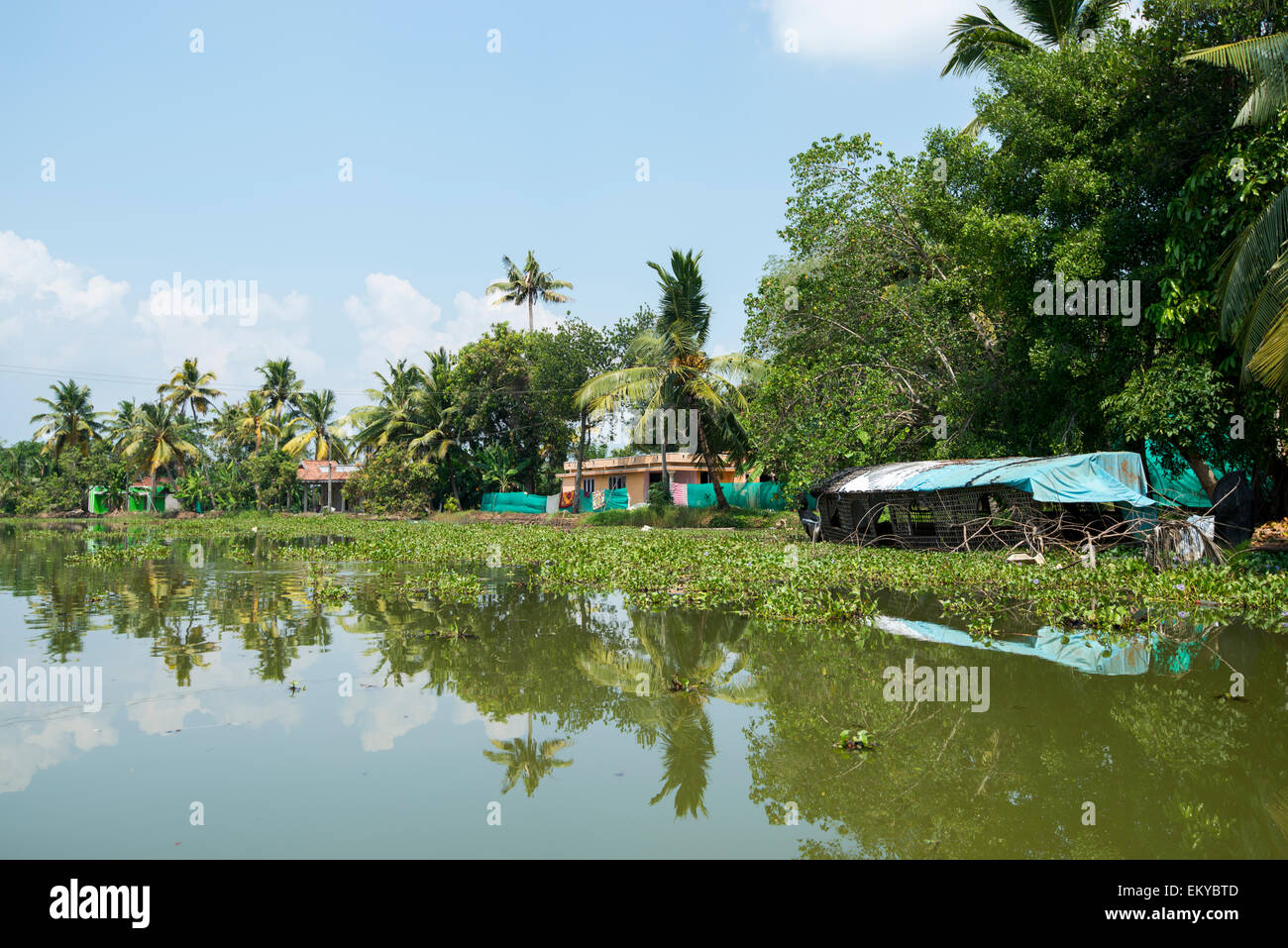 The Kerala Backwaters, Kumarakom Kerala India Stock Photo - Alamy