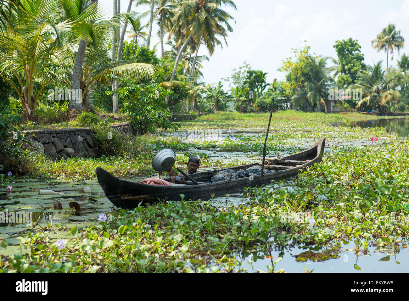 A man collecting mud from the Kerala Backwaters, Kumarakom Kerala India ...