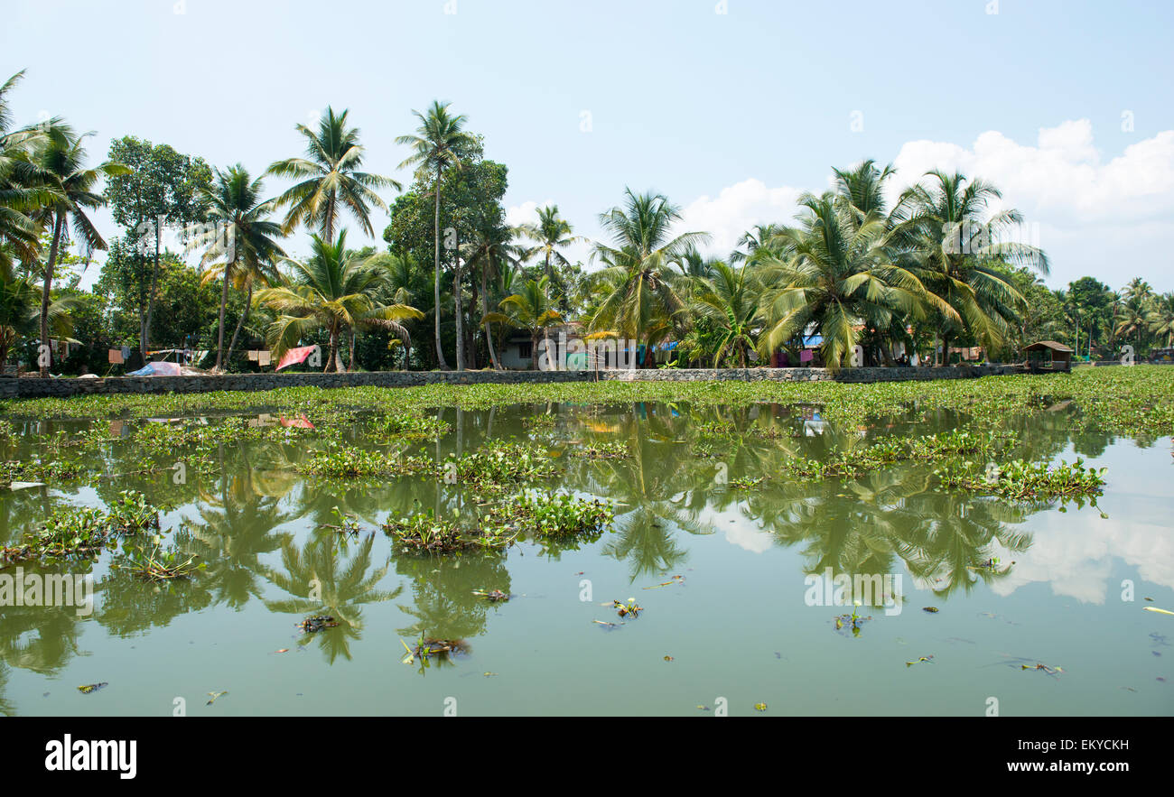 The Kerala Backwaters, Kumarakom Kerala India Stock Photo - Alamy