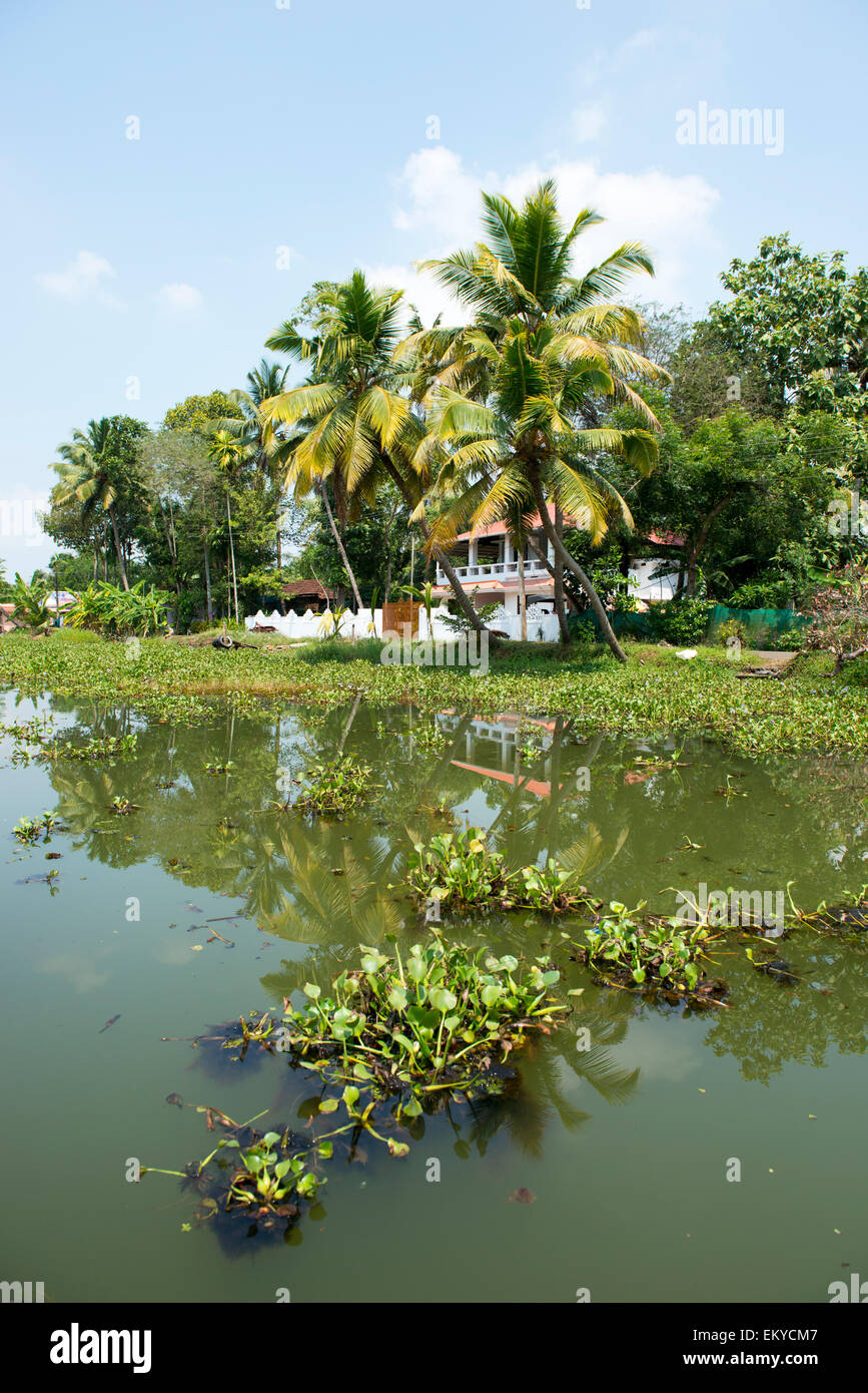 The Kerala Backwaters, Kumarakom Kerala India Stock Photo - Alamy