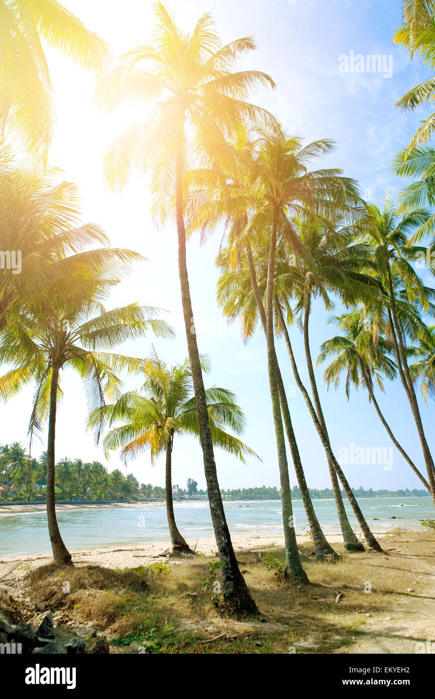 Beautiful tropical resort by the sea Stock Photo - Alamy