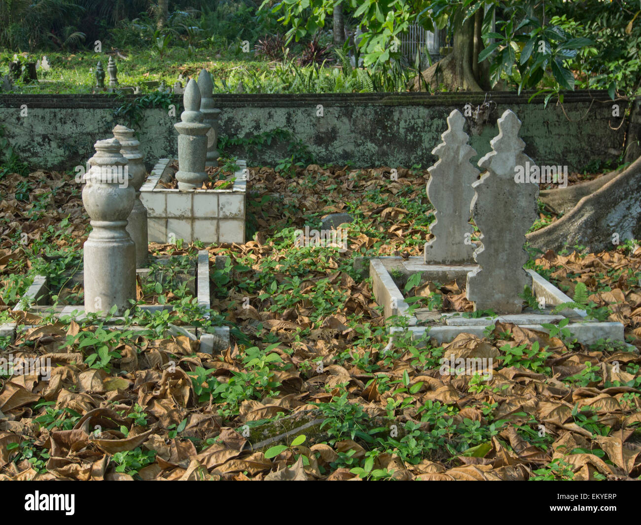 Malabar muslim mosque hi-res stock photography and images - Alamy
