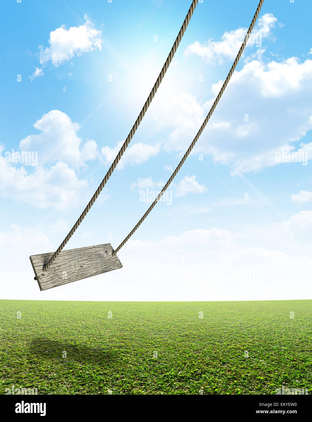 A regular home made swing made of rope and a wooden plank on a grassy ...