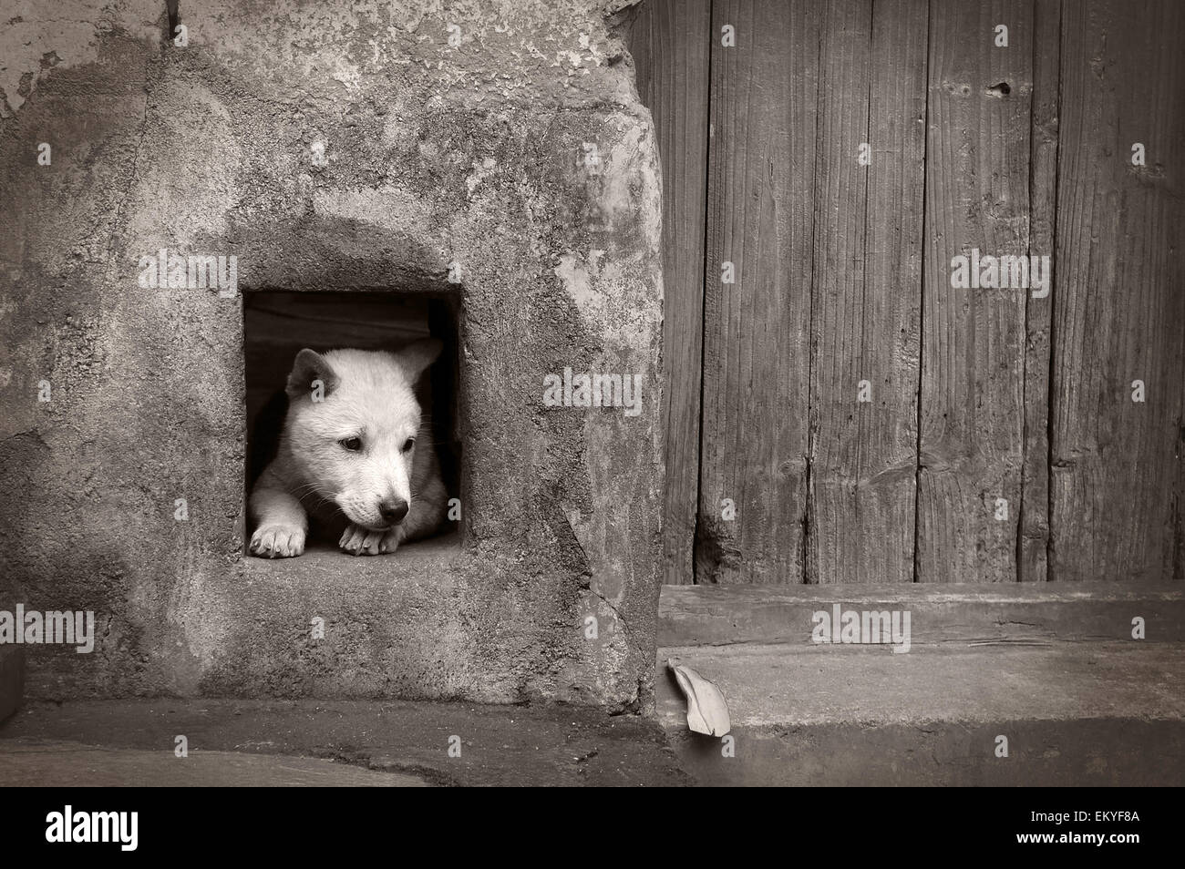 Somber hi-res stock photography and images - Alamy