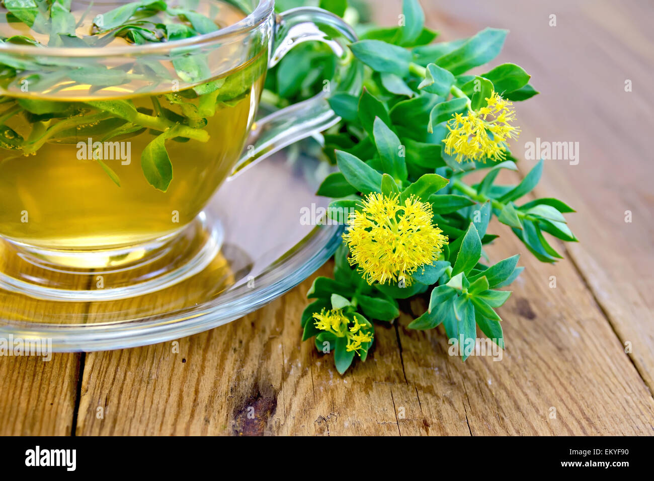 Rhodiola tea hi-res stock photography and images - Alamy