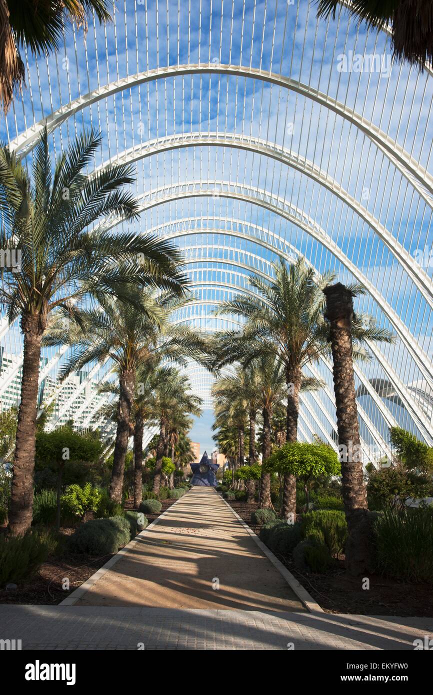 The Gardens Of The L'umbracle At The City Of Arts And Sciences ...