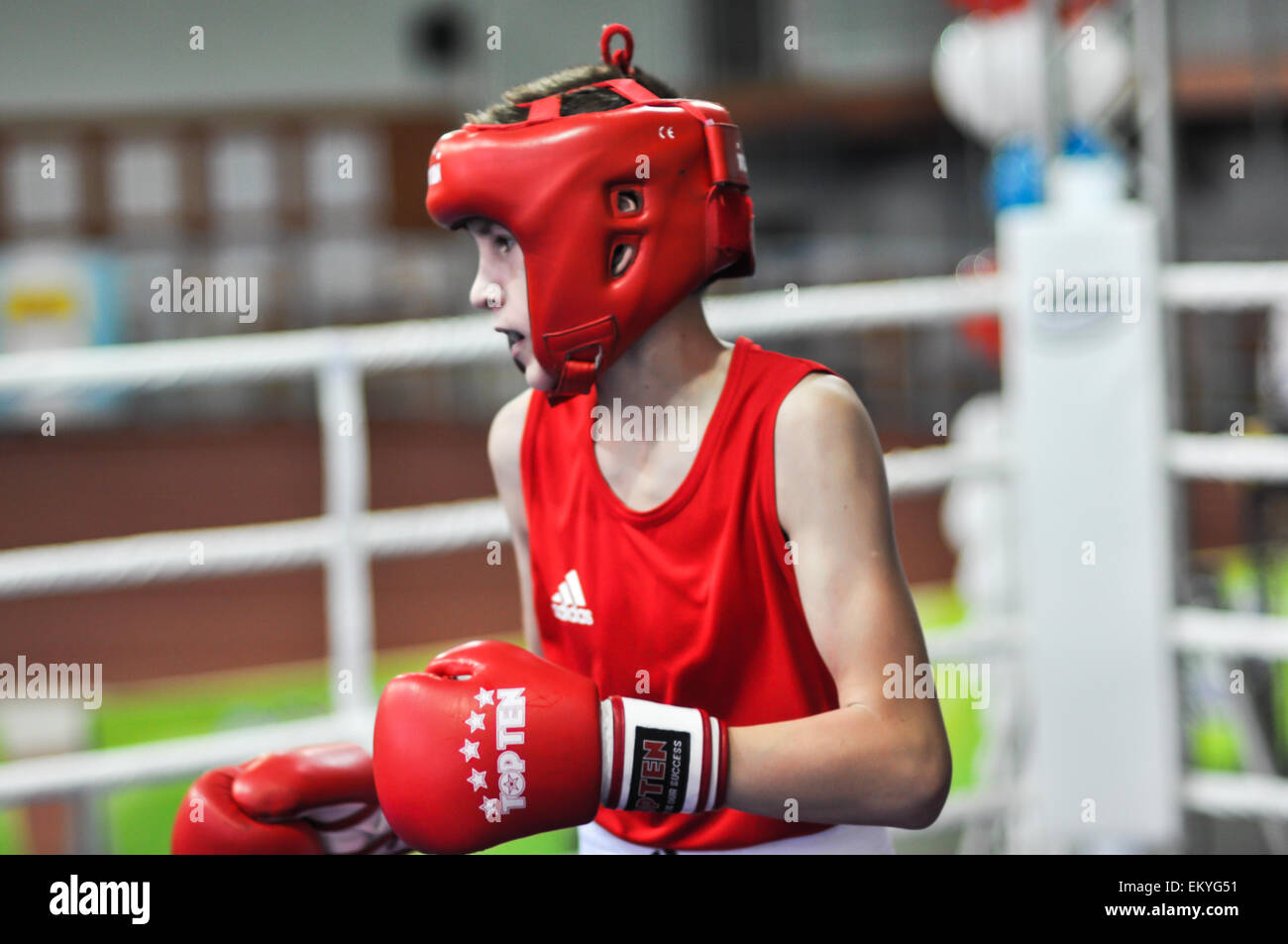 Orenburg, Russia - 19.10.2013: Russian boxing tournament name honoured ...