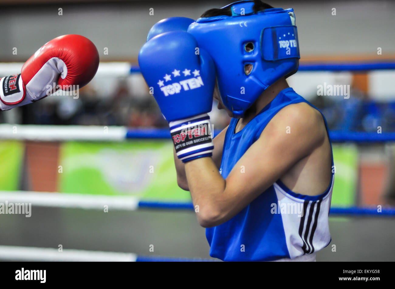Orenburg, Russia - 19.10.2013: Russian boxing tournament name honoured ...
