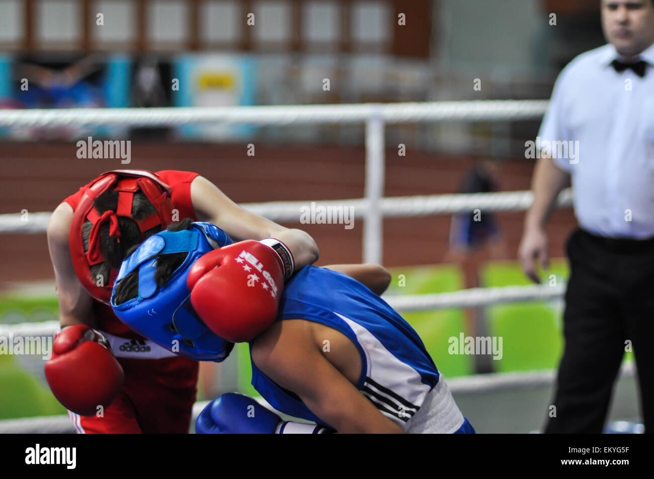 Orenburg, Russia - 19.10.2013: Russian boxing tournament name honoured ...