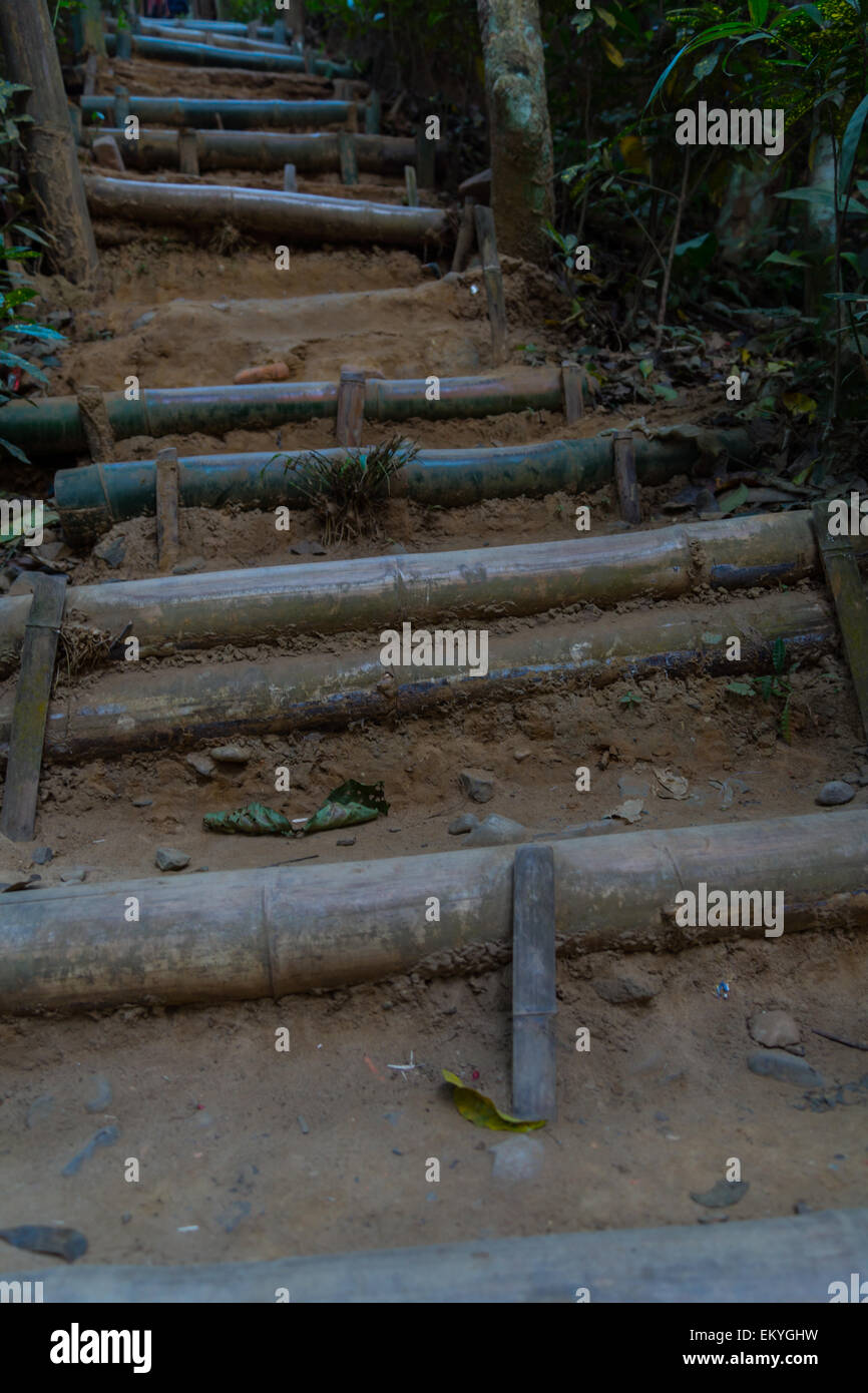 close up of bamboo steps Stock Photo - Alamy