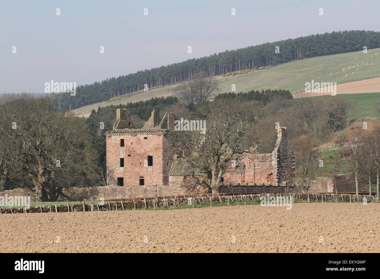 Edzell castle hi-res stock photography and images - Alamy