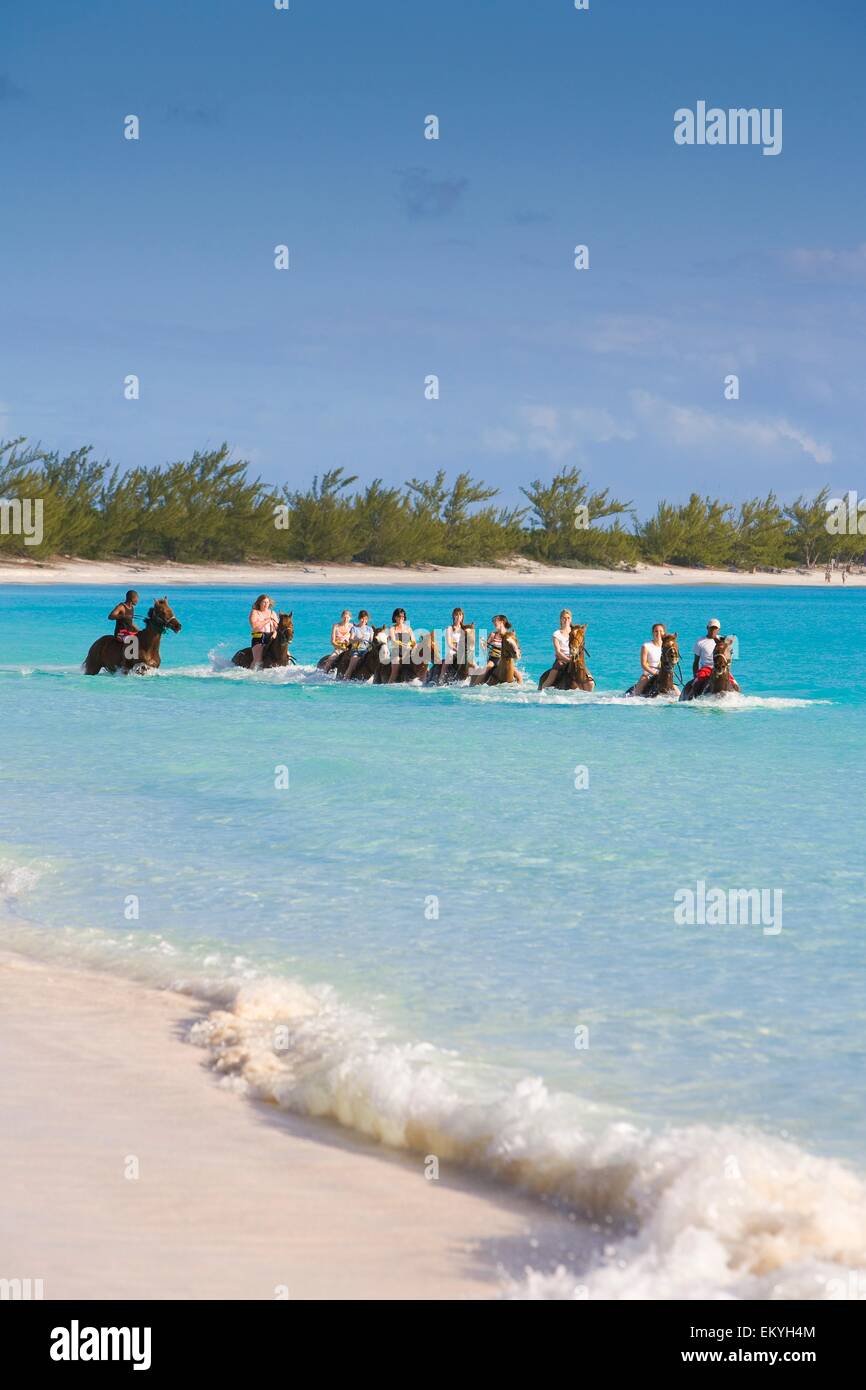Horseback Riding In The Caribbean Sea; Bahamas Stock Photo - Alamy