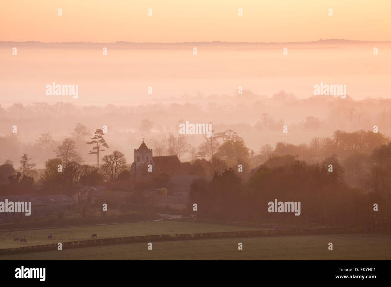 A beautiful misty dawn over the Sussex countryside near Firle in East ...